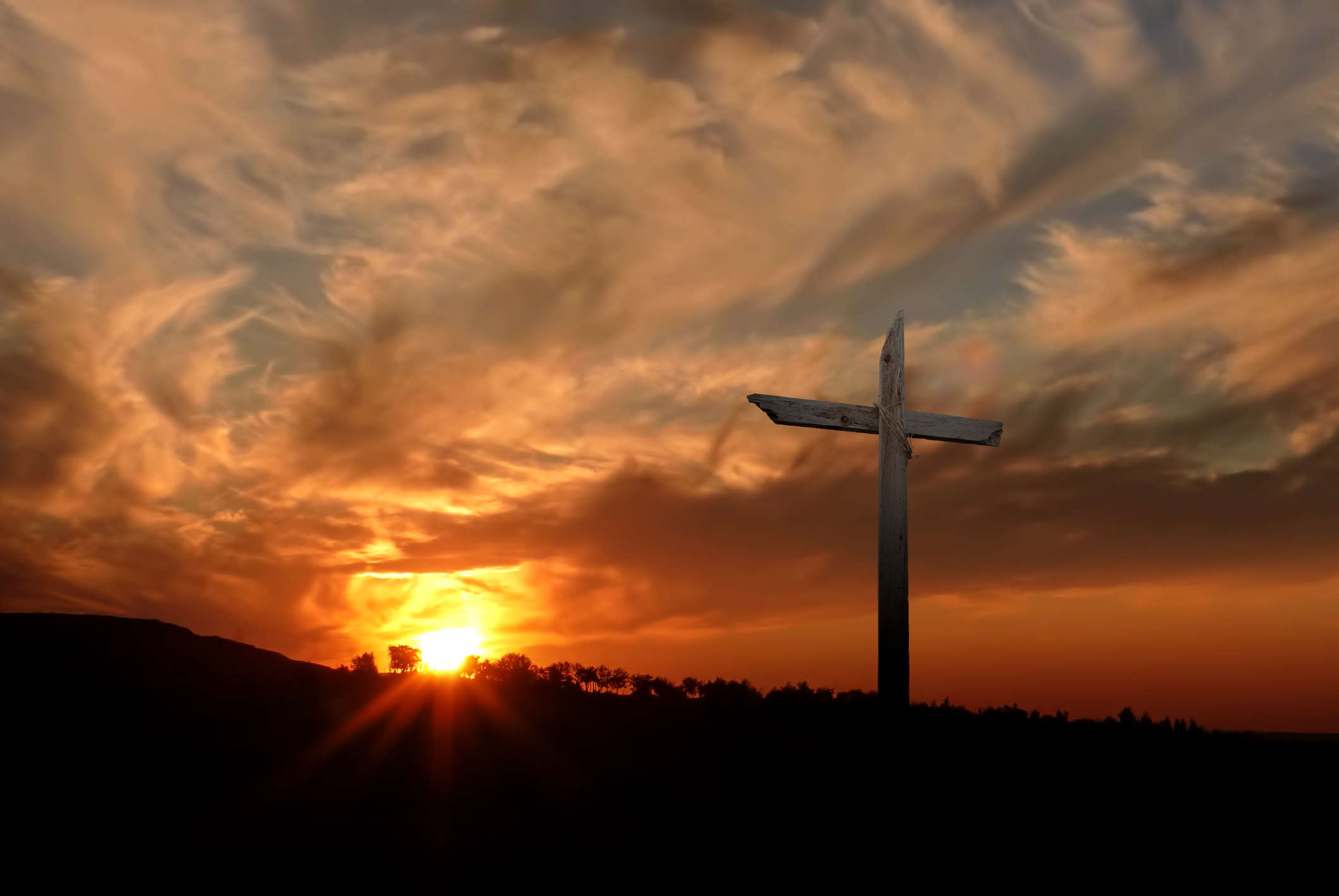 At Cross Purposes With The State Personal Liberty 